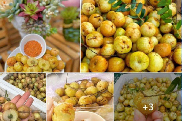 Loại quả “khổ trước sướng sau” lên “cơn sốt”: Nguồn gốc ở đâu?